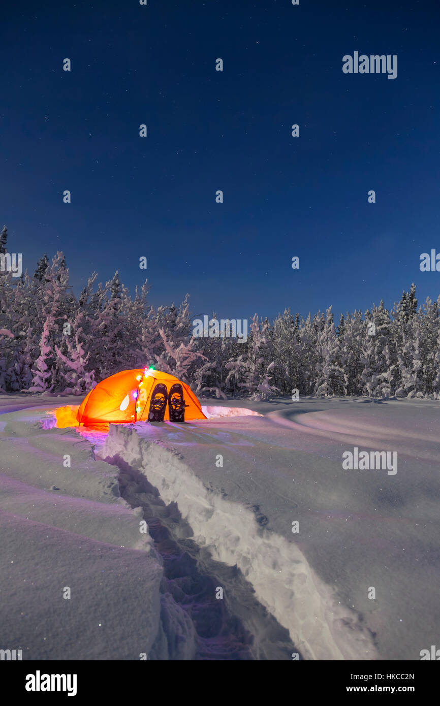 Lit tent near an evergreen and snow covered forest, Gakona ...