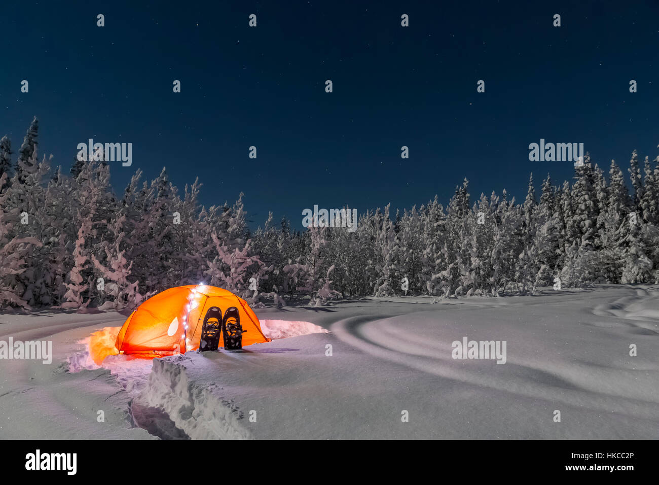 Lit tent near an evergreen and snow covered forest, Gakona ...