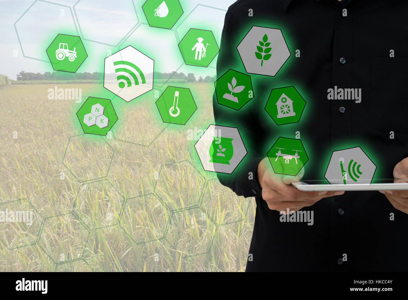 Internet of things(agriculture concept),smart farming,industrial ...