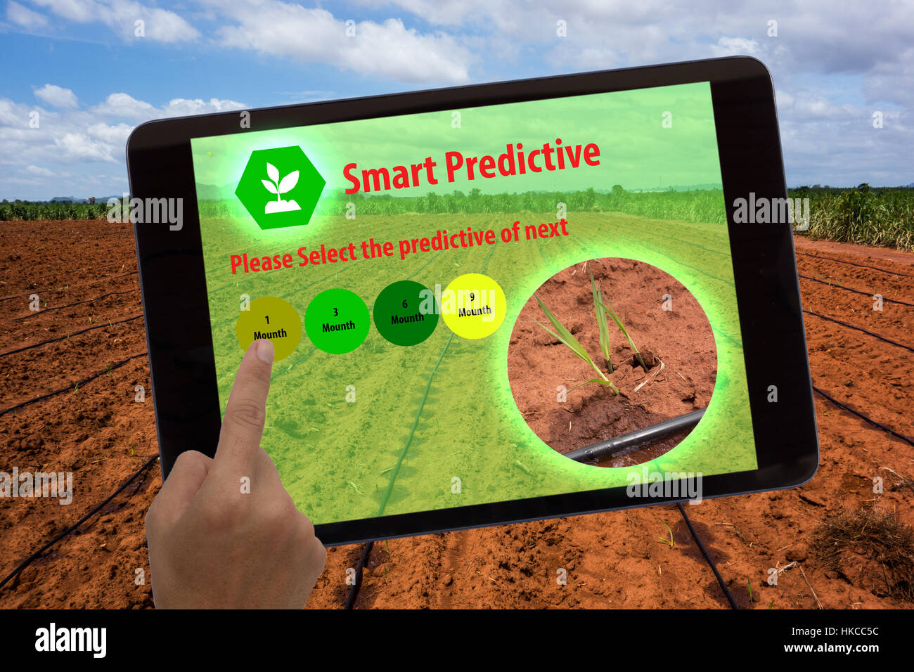 Internet of things agriculture concept,augmented reality,farmer use ...
