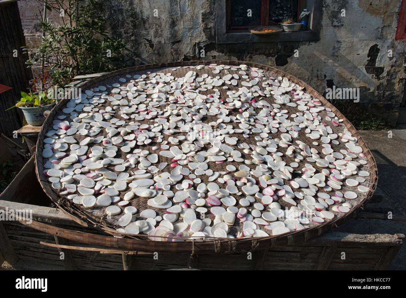 Daikon radishes drying in the ancient village of Xidi, Anhui, China ...