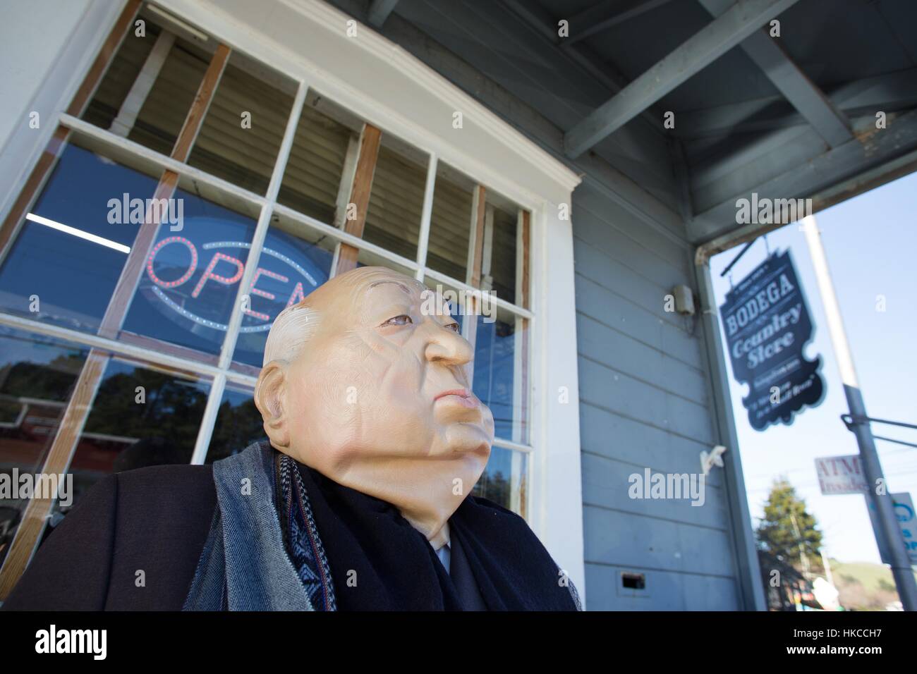 Alfred hitchcock birds scene hi-res stock photography and images - Alamy