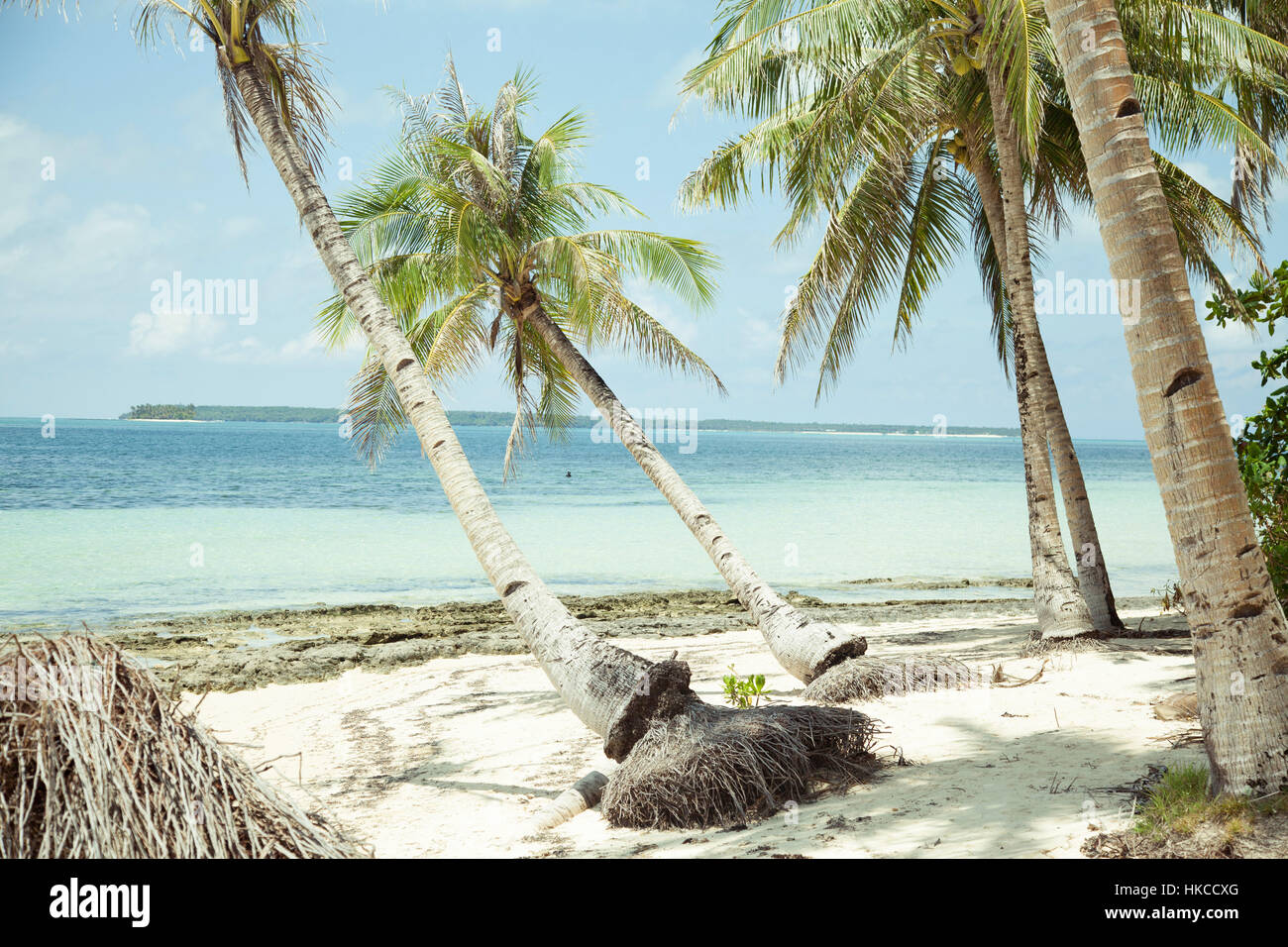 Tanduay hi-res stock photography and images - Alamy