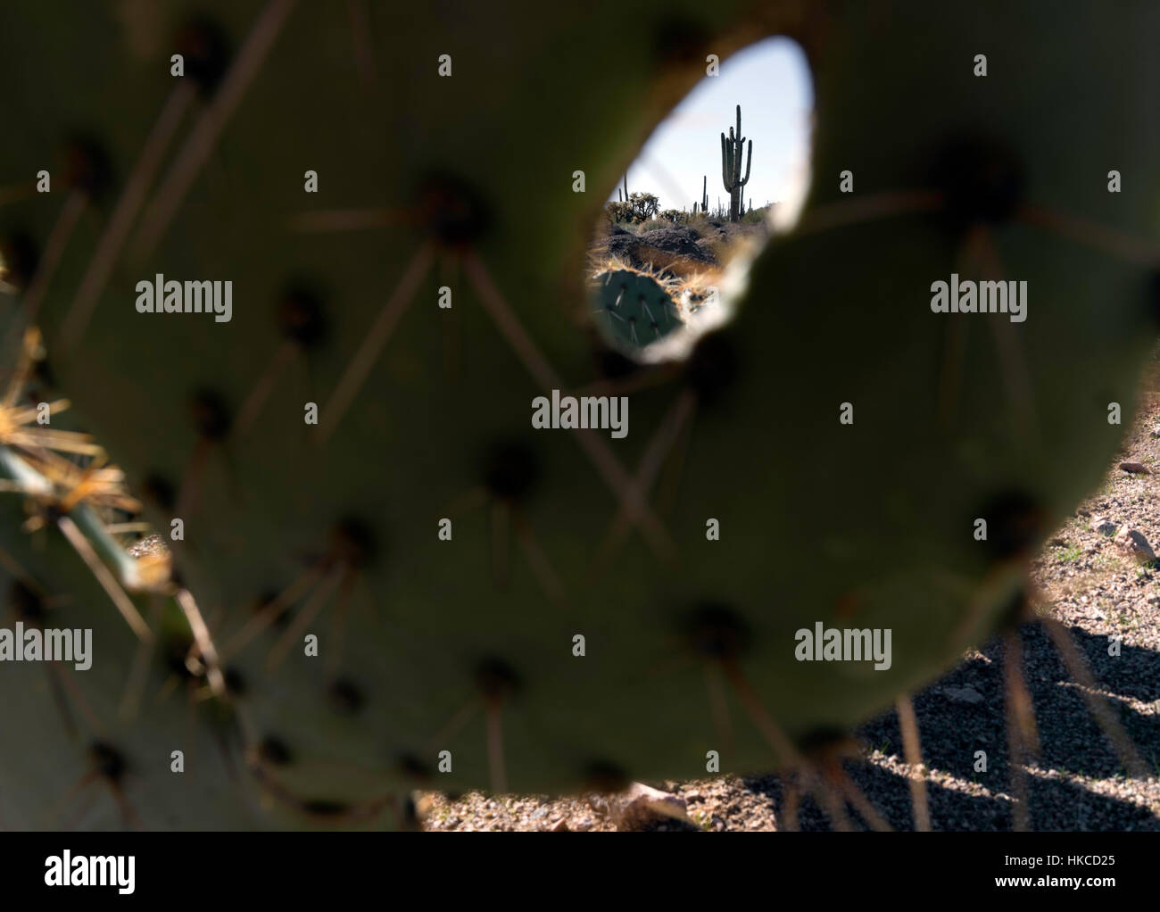 Pinhole view hi-res stock photography and images - Alamy