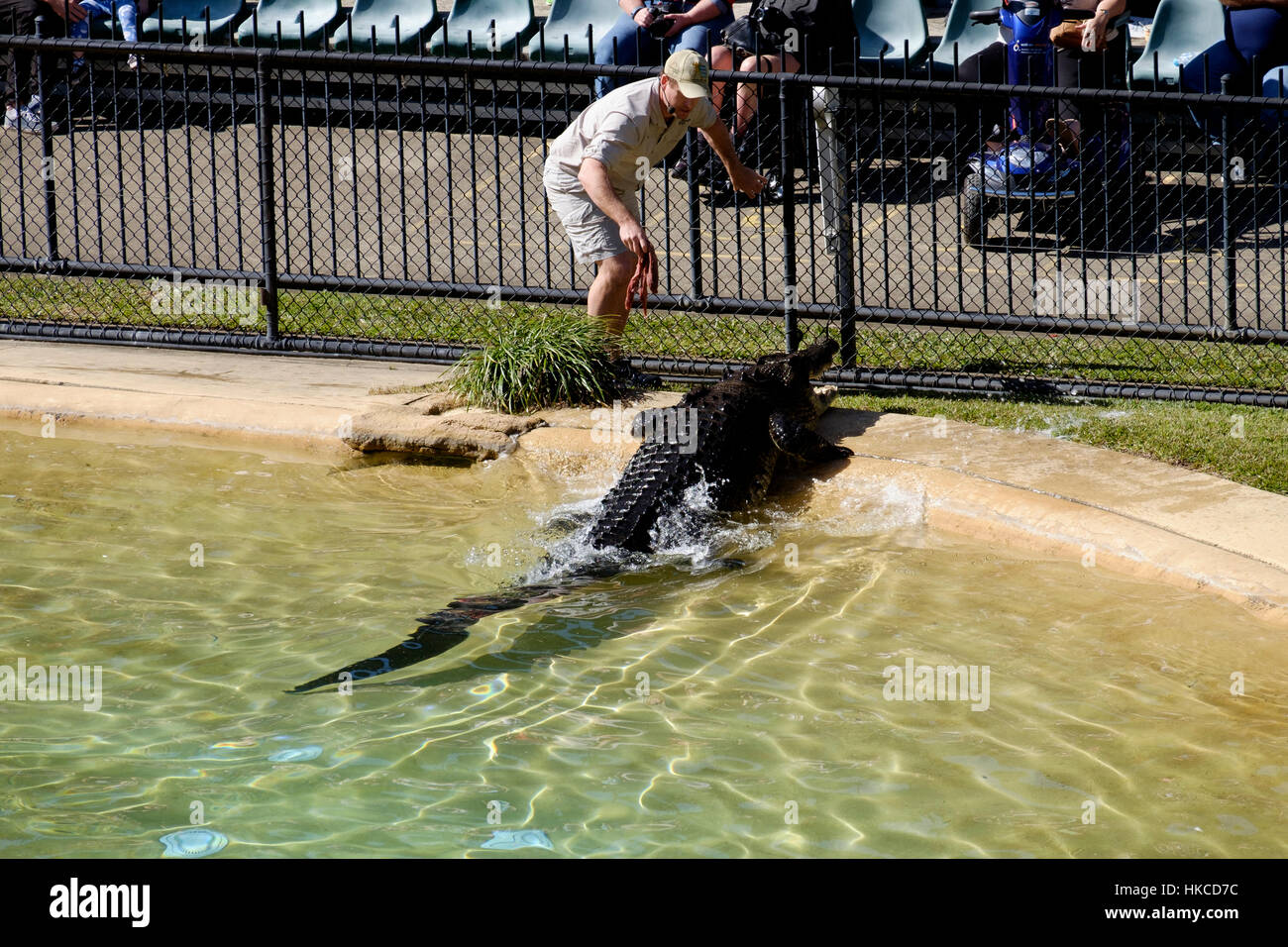 Crocodile Show - Australia Zoo Stock Photo - Alamy