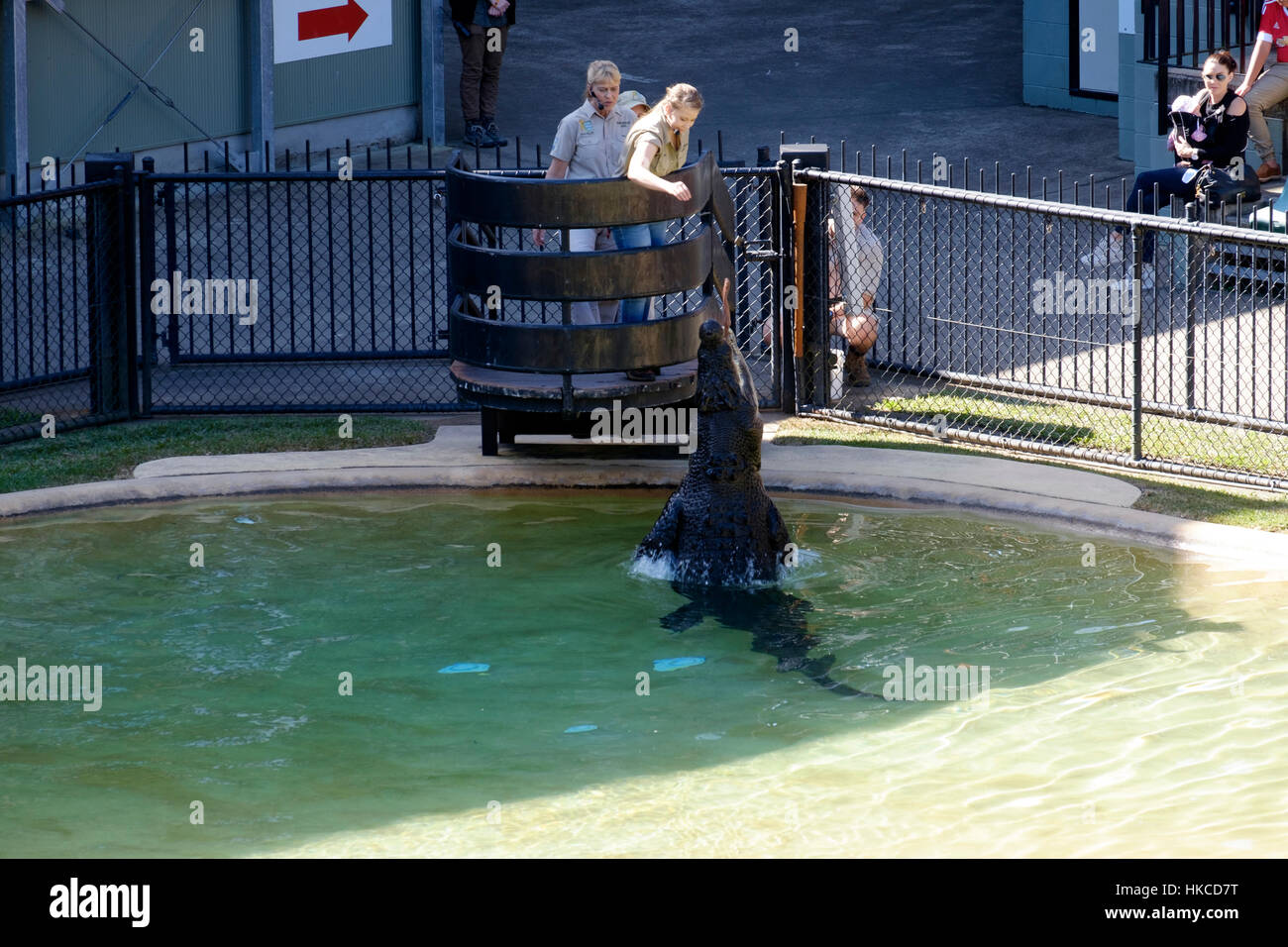 Crocodile Show - Australia Zoo Stock Photo - Alamy