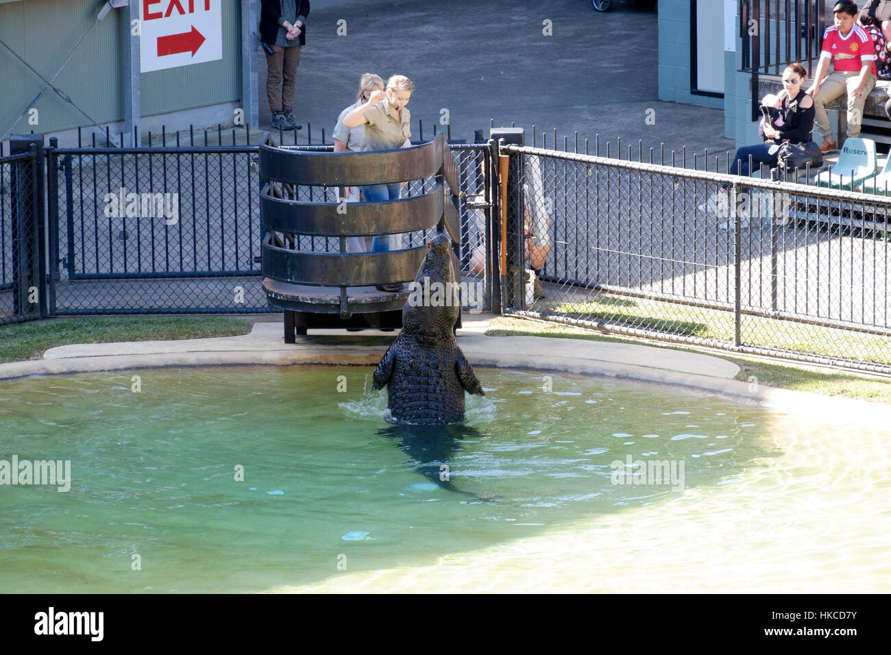 Crocodile Show - Australia Zoo Stock Photo - Alamy