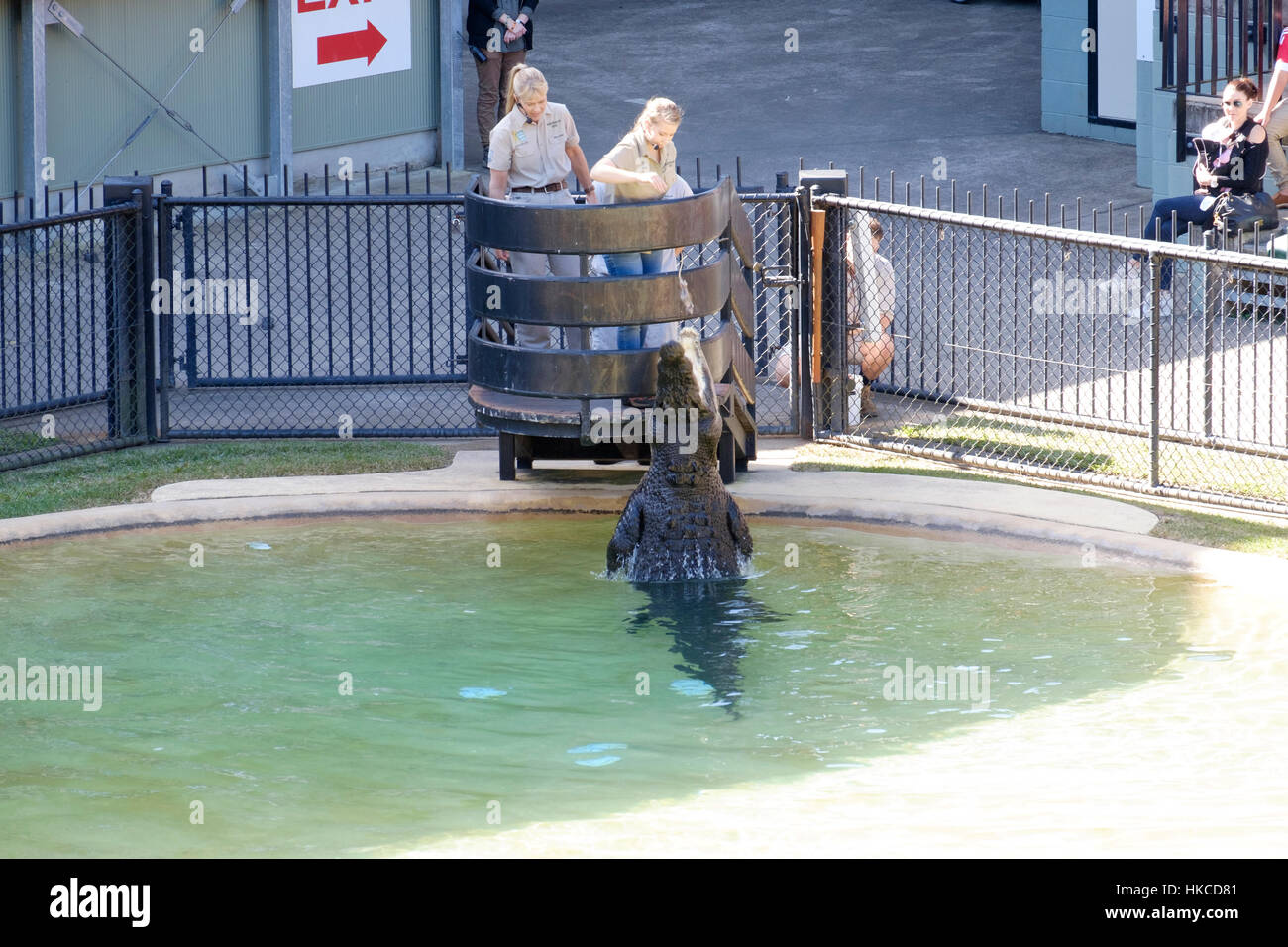 Crocodile Show - Australia Zoo Stock Photo - Alamy