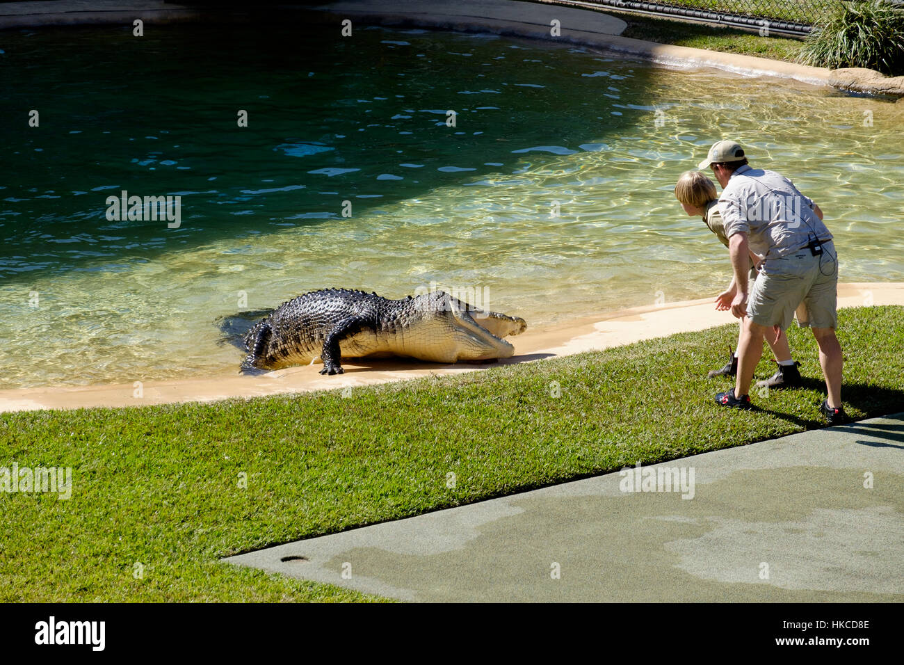 Crocodile Show - Australia Zoo Stock Photo - Alamy