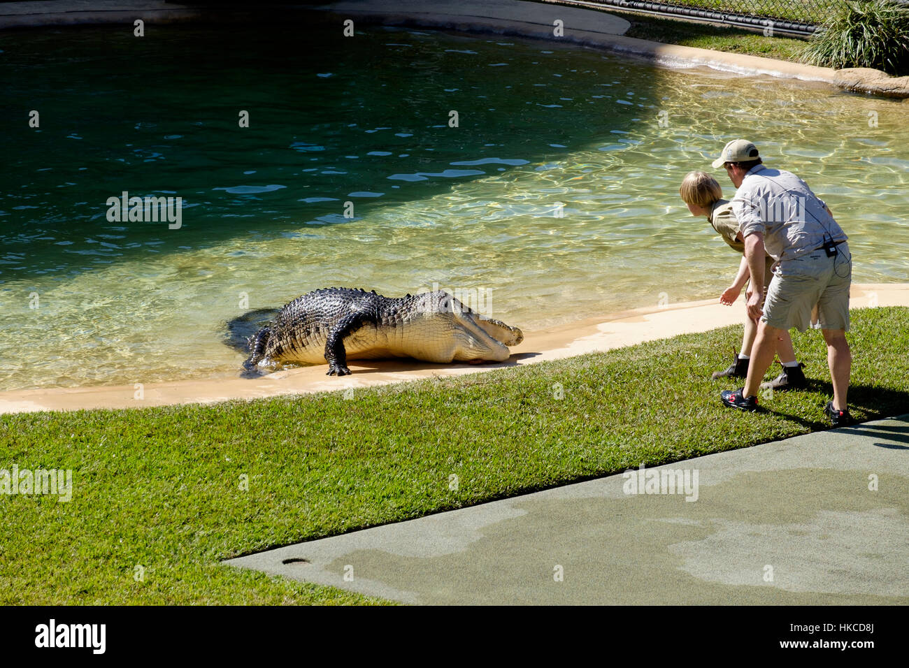 Crocodile Show - Australia Zoo Stock Photo - Alamy