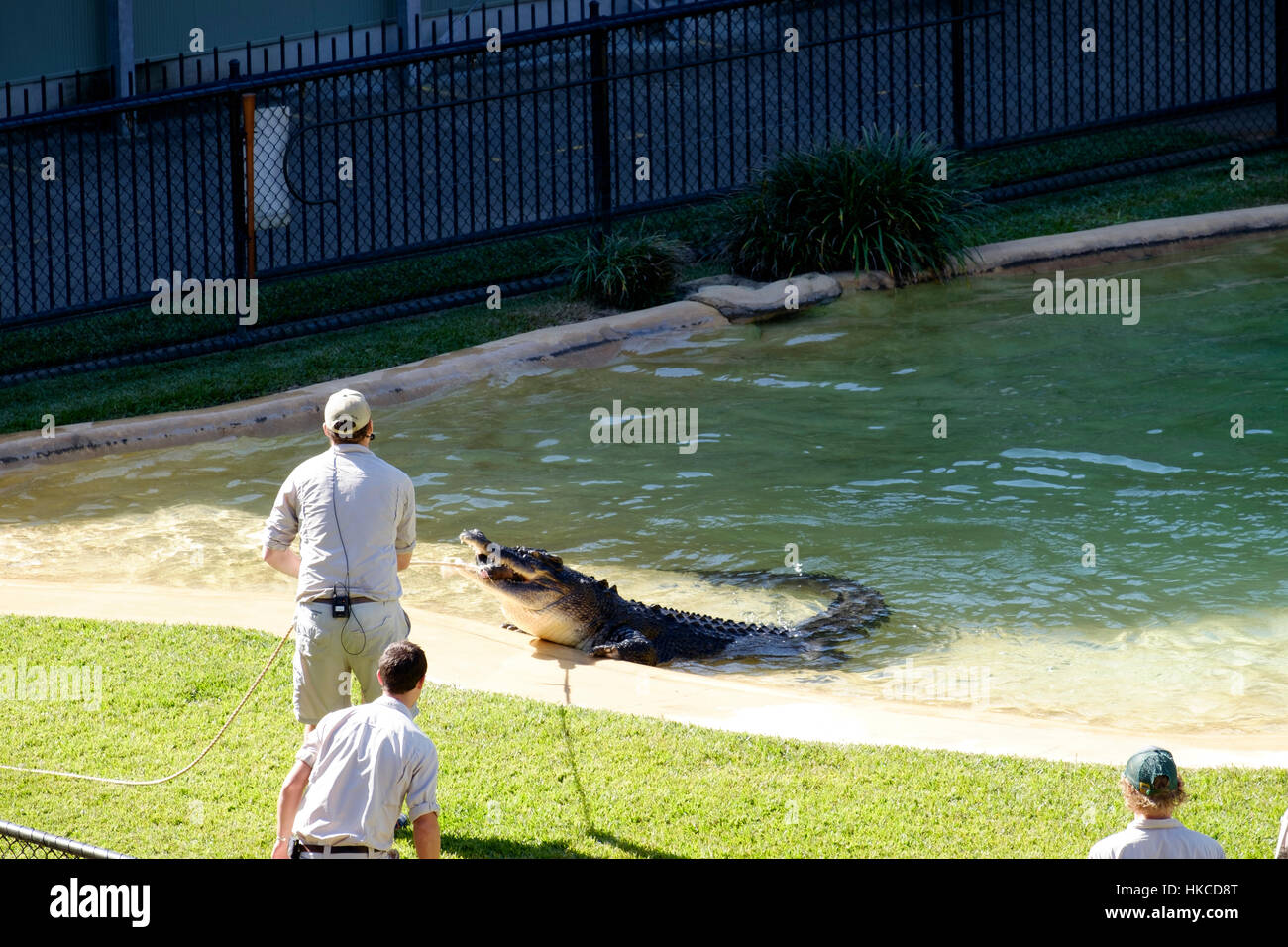Crocodile Show - Australia Zoo Stock Photo - Alamy