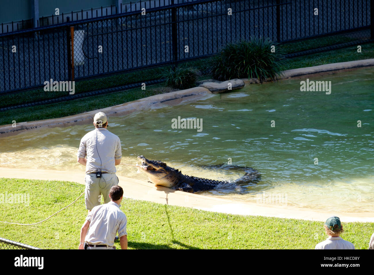 Crocodile Show - Australia Zoo Stock Photo - Alamy