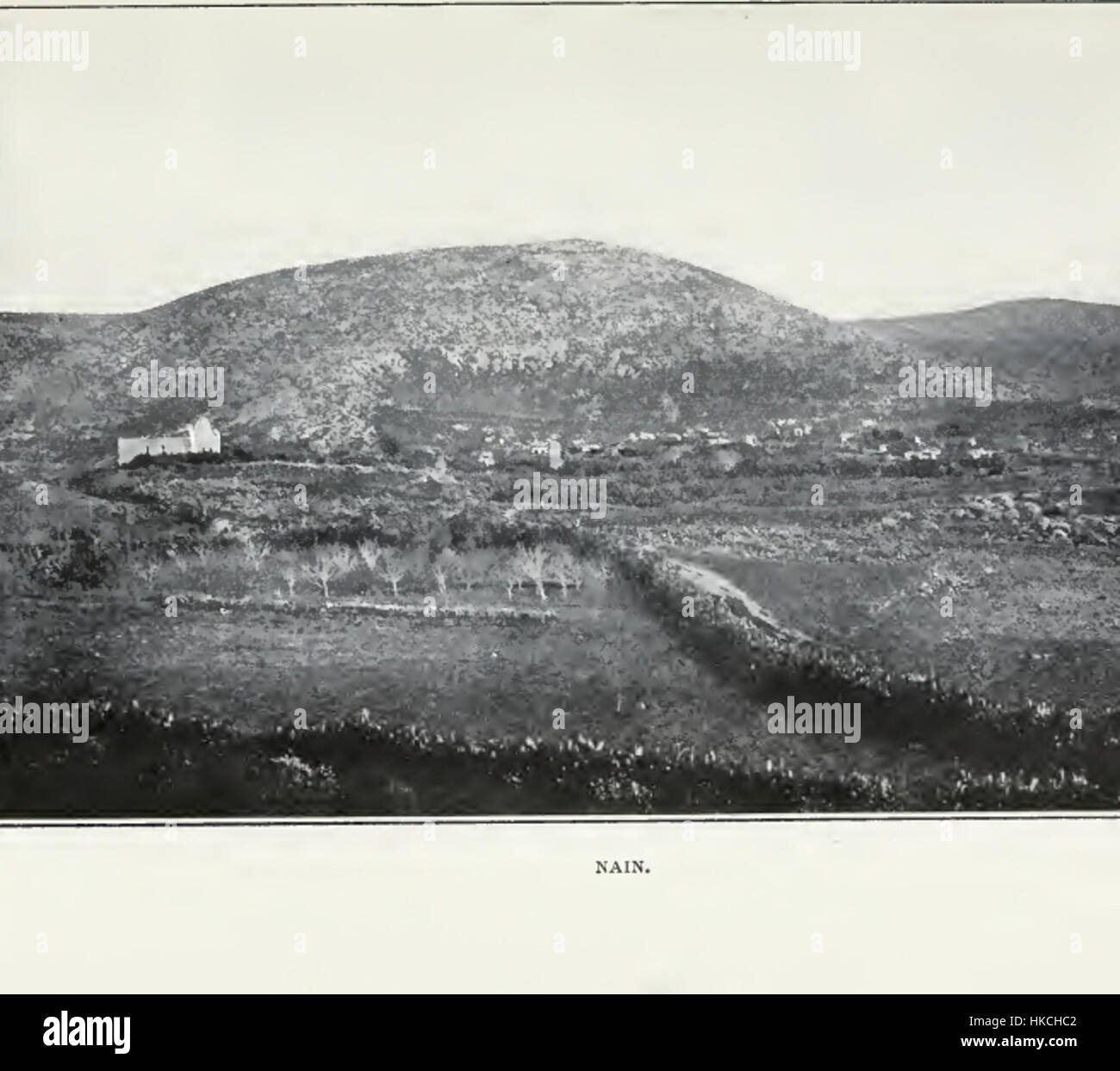 The 'Nain 1903' artwork is a Persian rug design featuring intricate ...