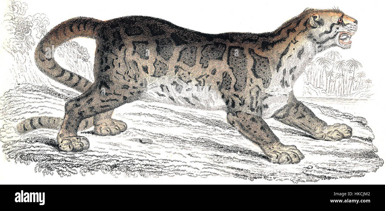 *Pl9 Rimau Dahan* (Jardine) is a notable work of art created by the ...