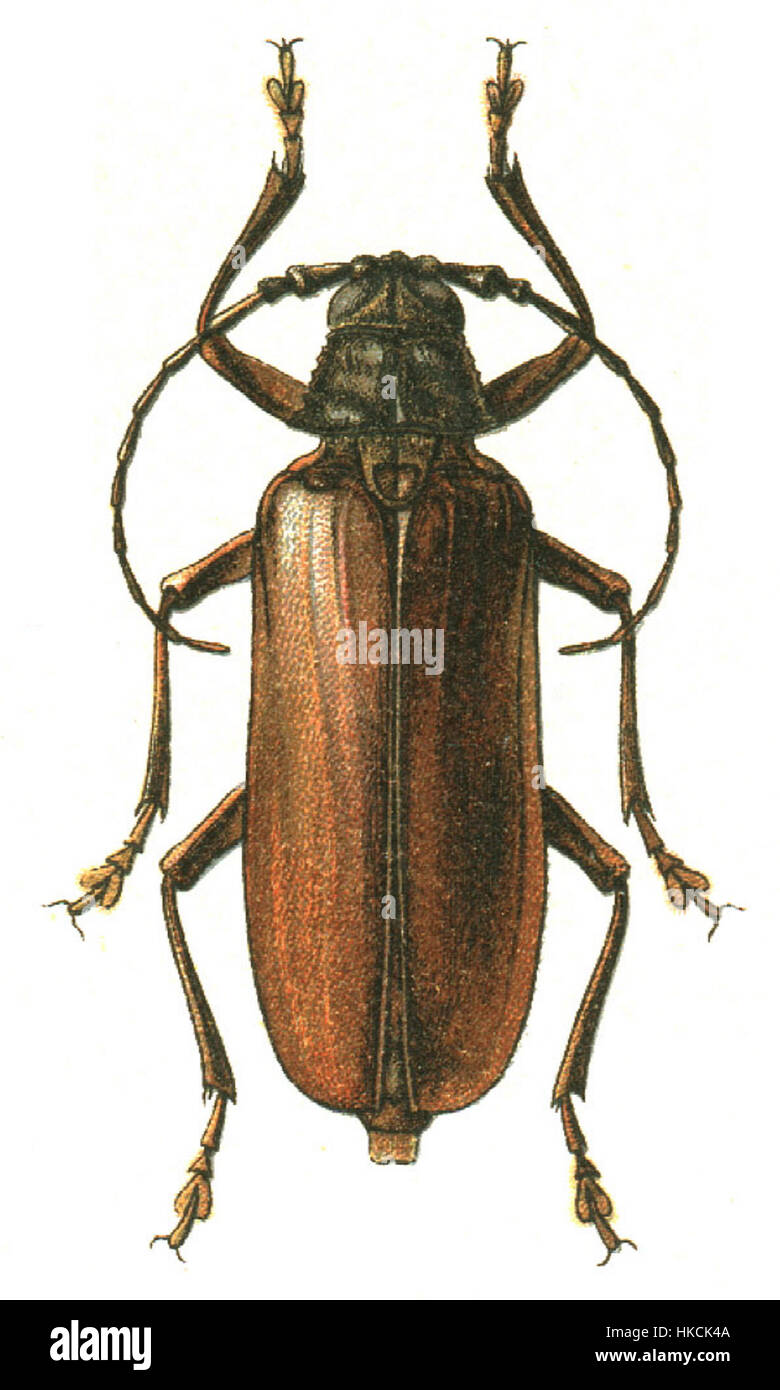 Mythological depiction Cut Out Stock Images & Pictures - Alamy