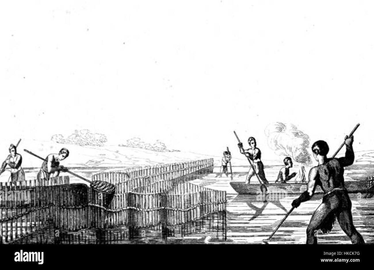 This illustration, 'Rc11016 Timucua Trapping Fish', depicts a Timucua ...