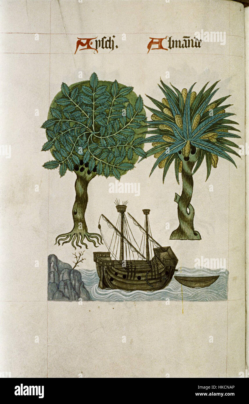 This Tudor pattern book, housed in the Ashmole Collection, offers a ...