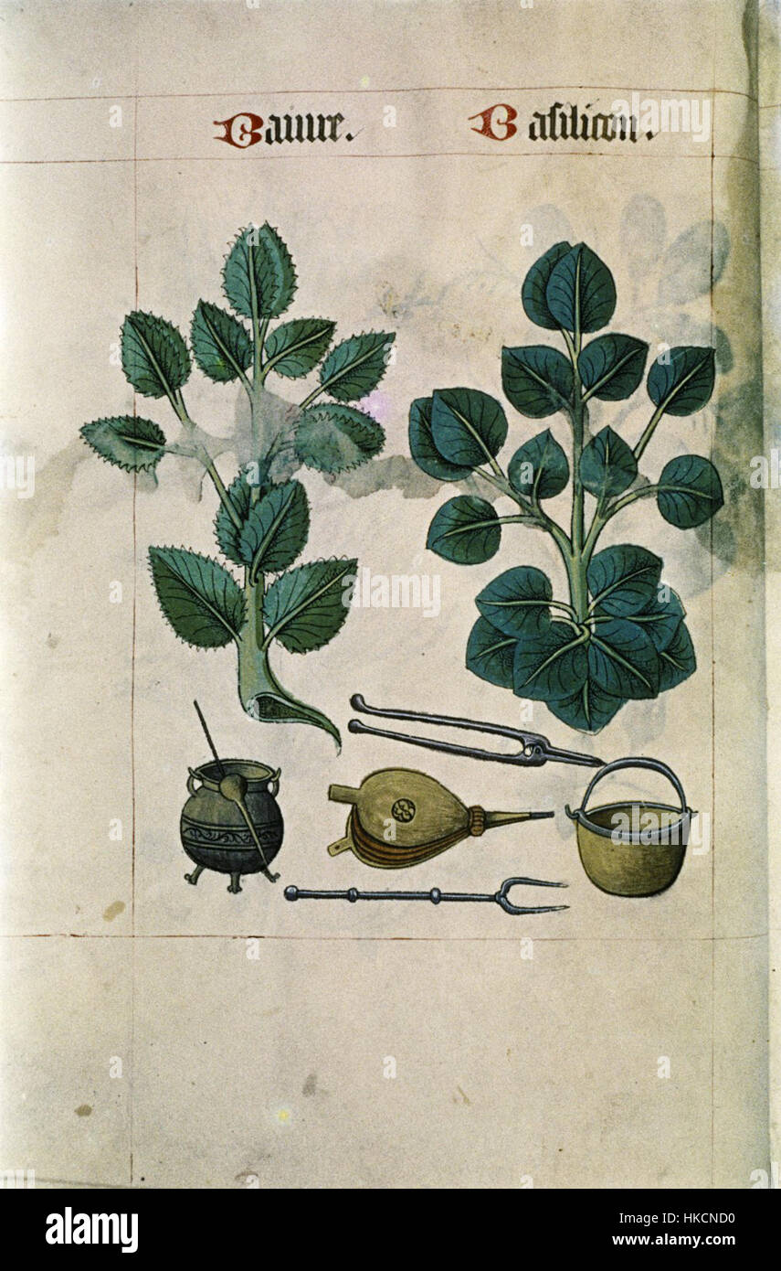 The Tudor pattern book (MS. Ashmole 1504-07), an important historical ...