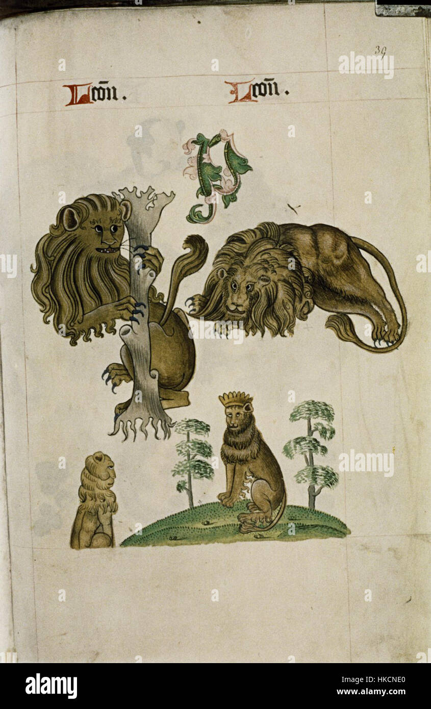 *The Tudor pattern book MS. Ashmole 1504 73* is an example of 16th ...