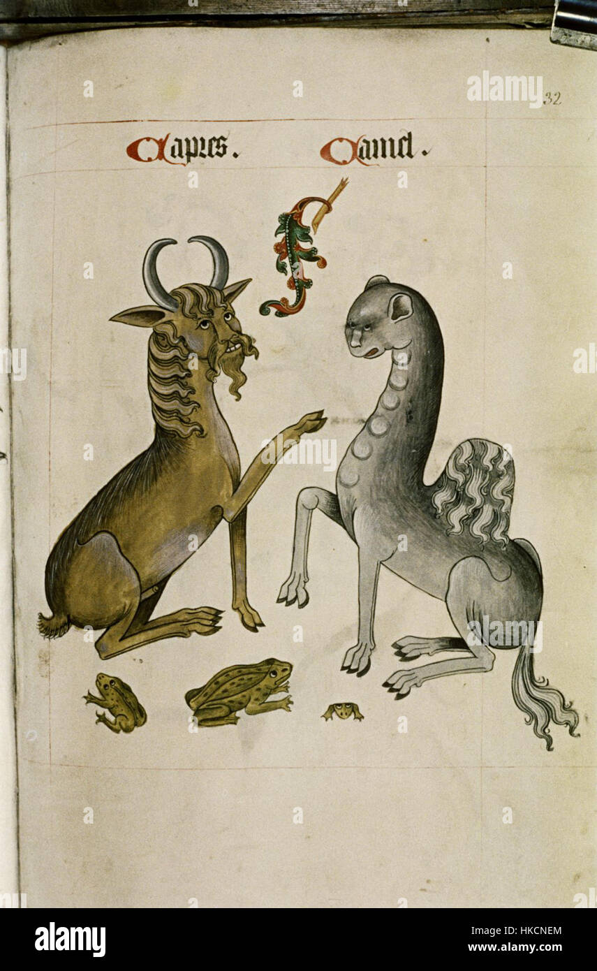 Tudor textiles hi-res stock photography and images - Alamy