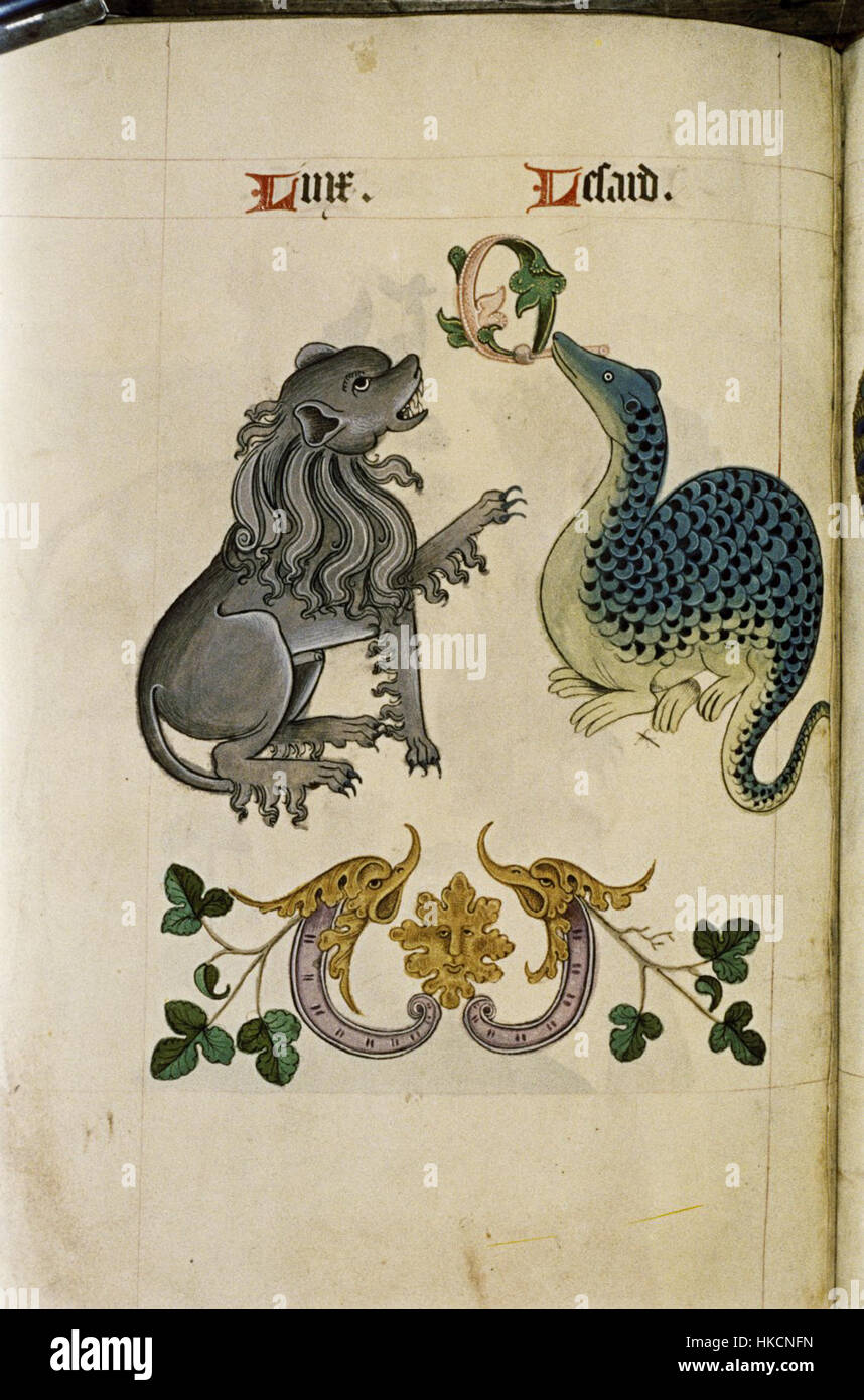 The Tudor pattern book MS. Ashmole 1504 74 Stock Photo - Alamy