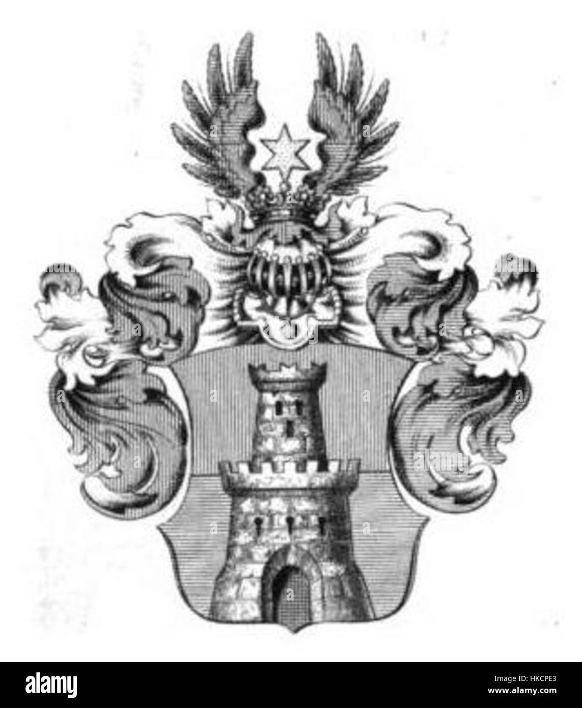 The 'Wappen Camuzi' is a heraldic design representing a coat of arms ...