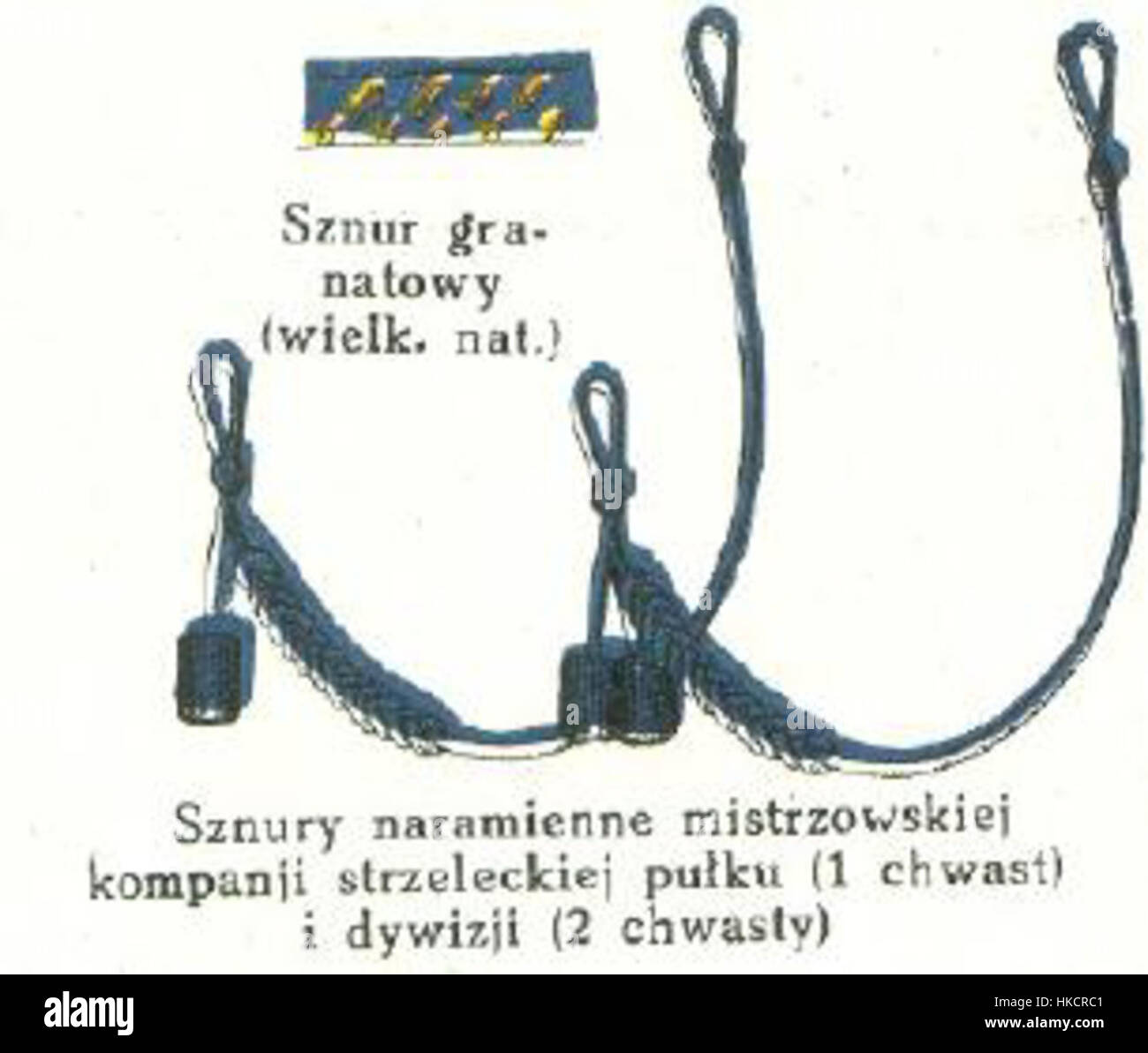 This 1935 artwork depicts the shoulder straps of a shooting company ...