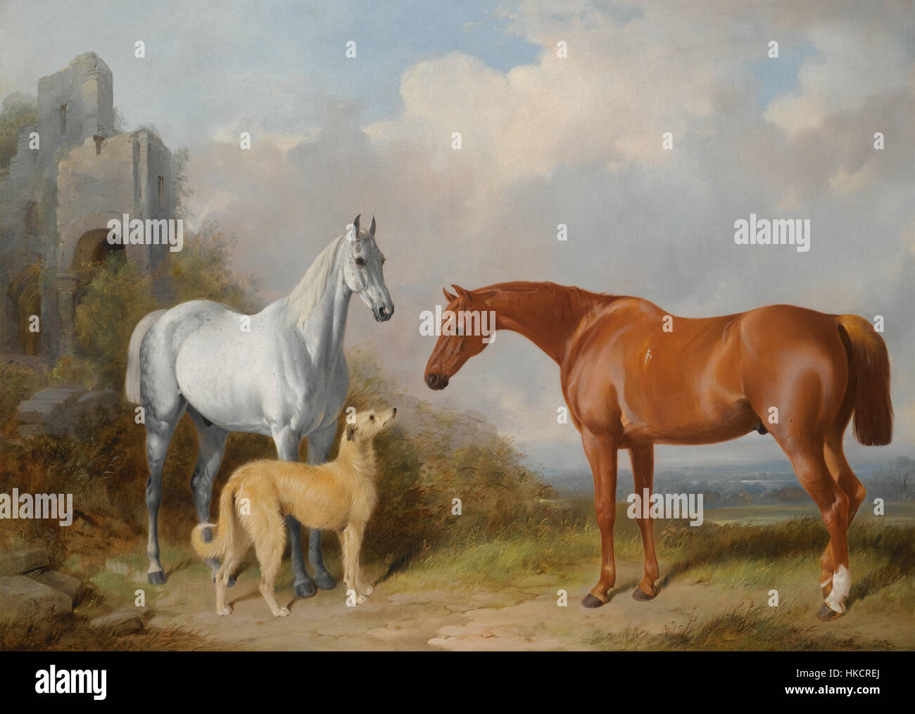 This 1845 painting by William Barraud depicts a grey and a chestnut ...