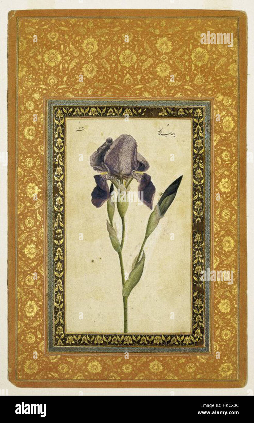 The 'Blue Iris' painting at the Brooklyn Museum captures the beauty and ...