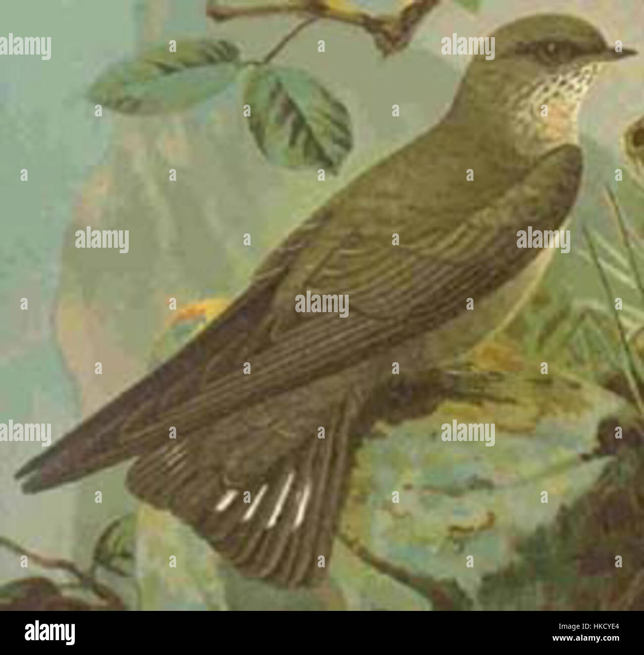 *Cragmartin22* is an artwork depicting intricate patterns and abstract ...