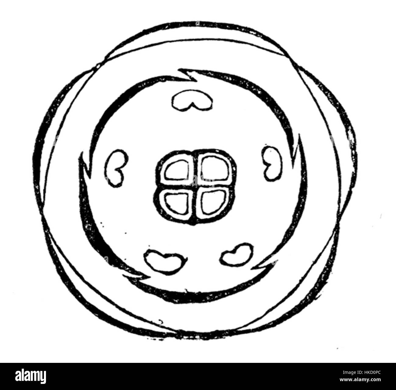 This botanical illustration shows the detailed diagram of Echium ...