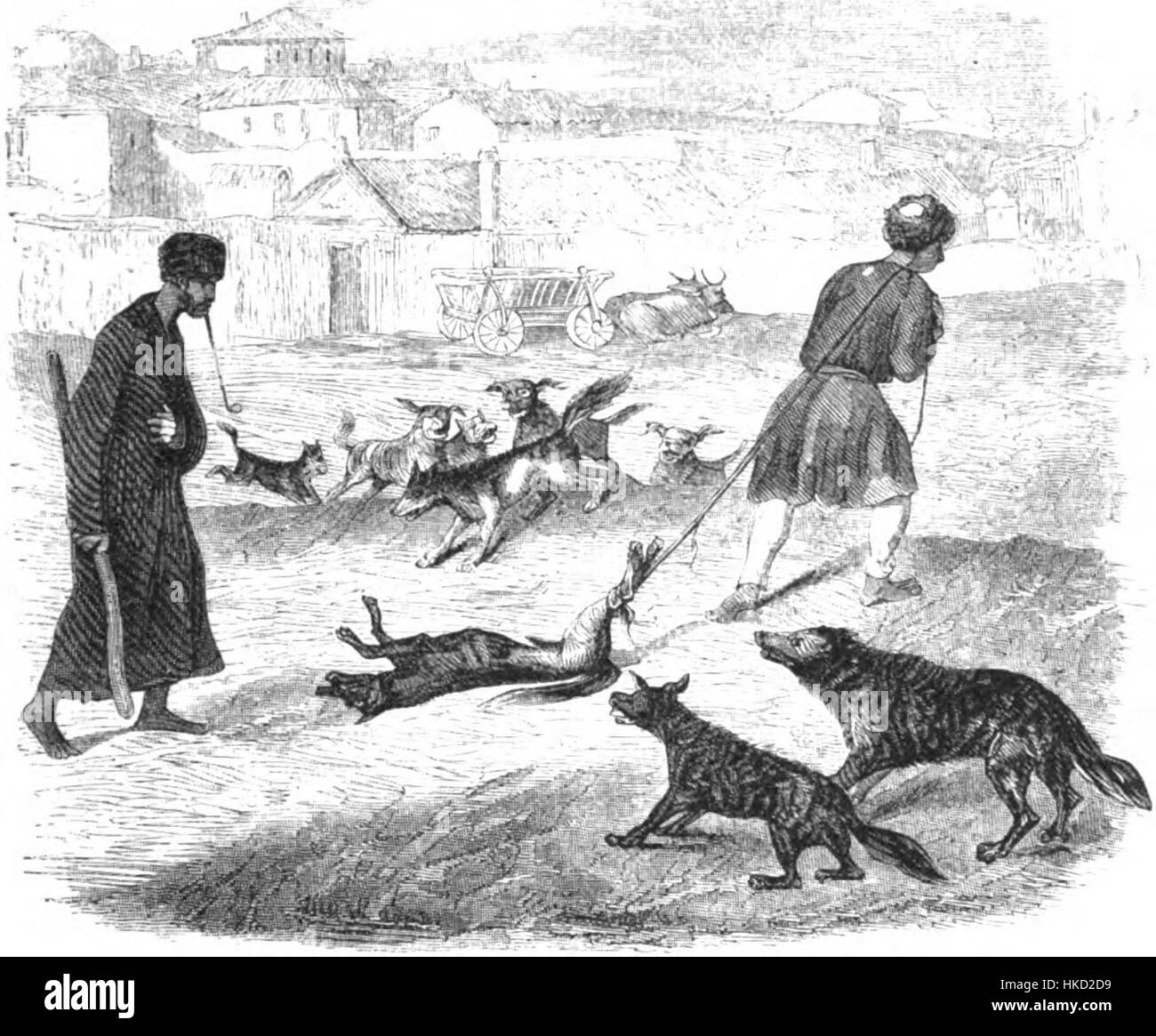 Gypsy dog hi-res stock photography and images - Alamy