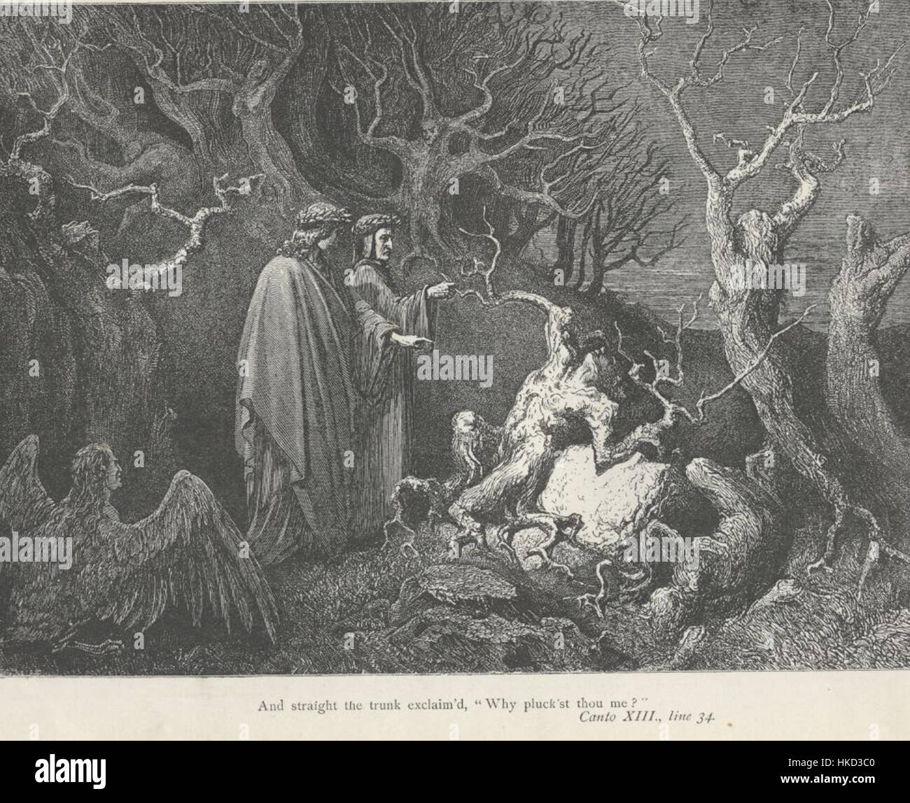 *Inferno Canto 13*, from Dante's *Divine Comedy*, describes the seventh ...