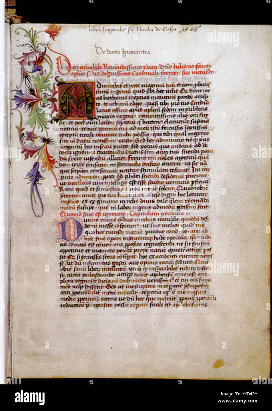 The Kues Codex 218 is a historical manuscript from the Middle Ages ...