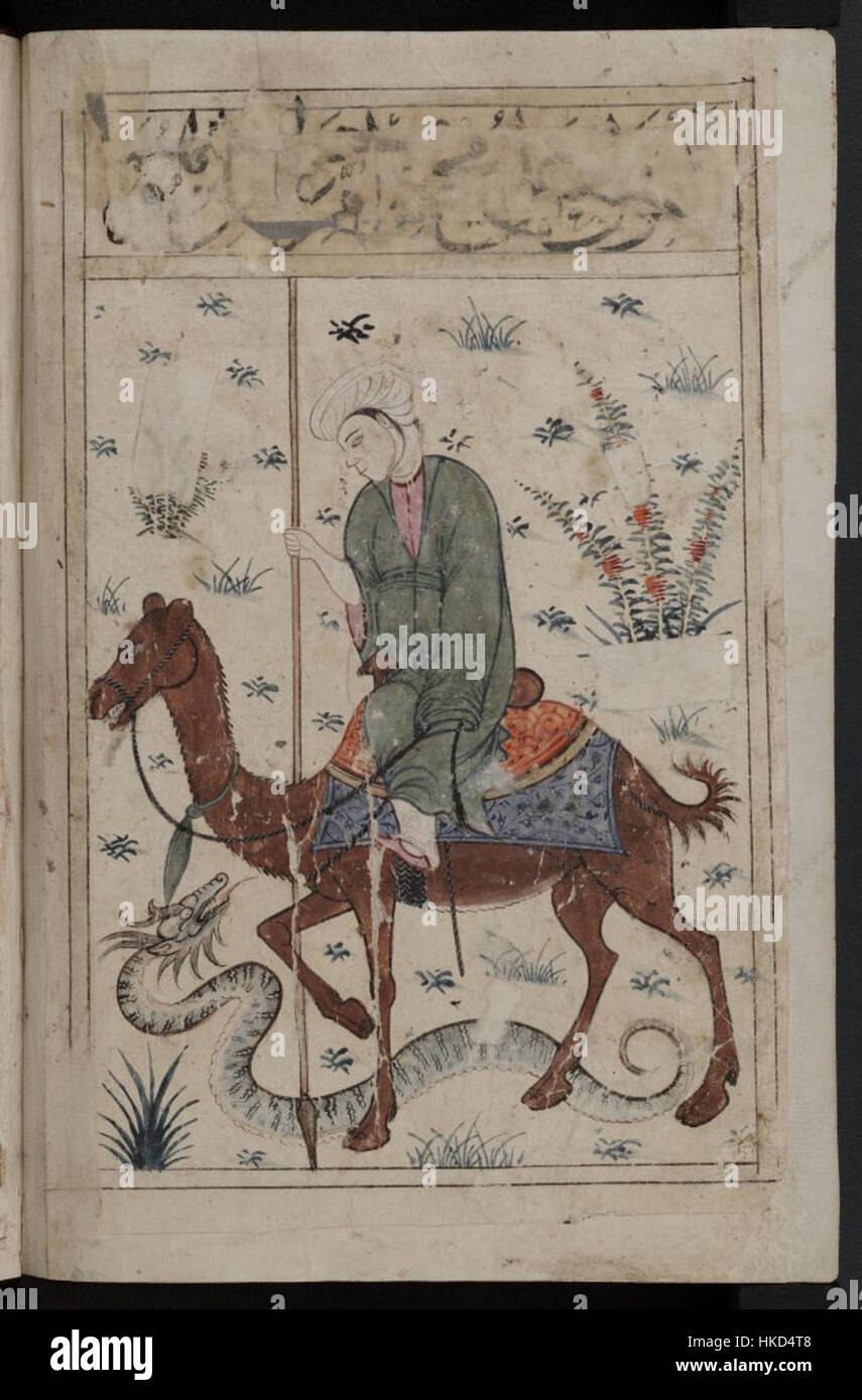 This painting from the 'Kitab al-Bulhan' depicts a man riding a camel ...