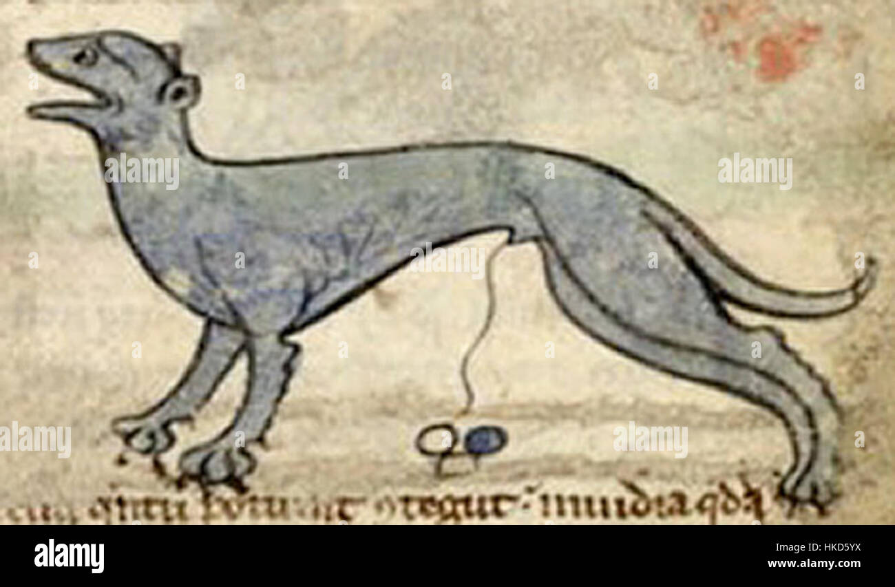 Lynxurius is depicted in a medieval bestiary, a genre of illustrated ...