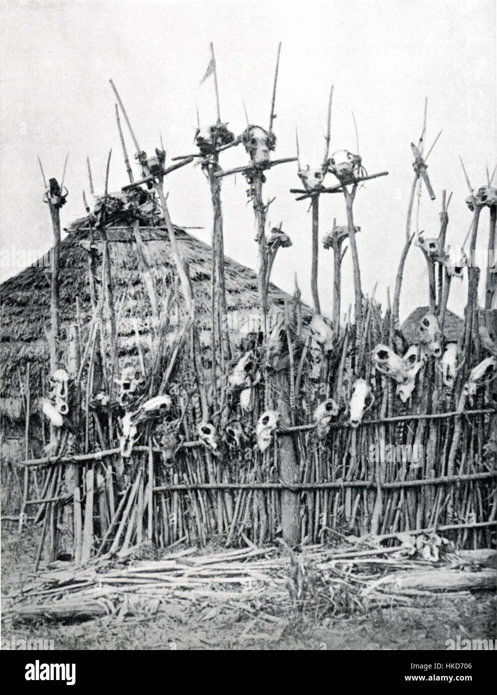 This artwork depicts bear skulls arranged for worship, reflecting ...