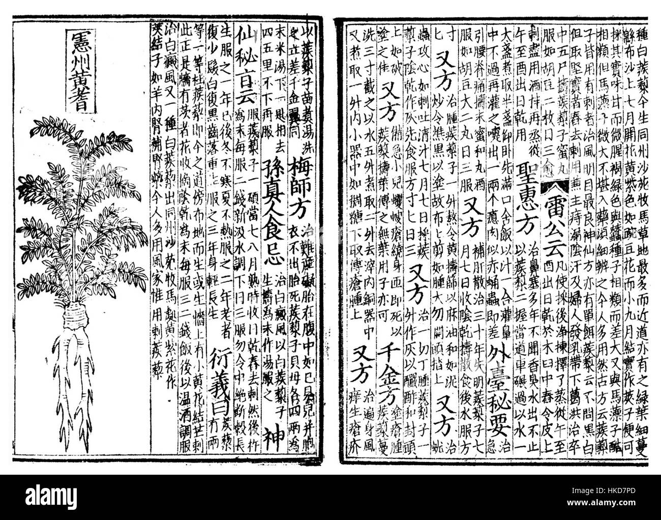 Traditional chinese medicine books hi-res stock photography and images ...