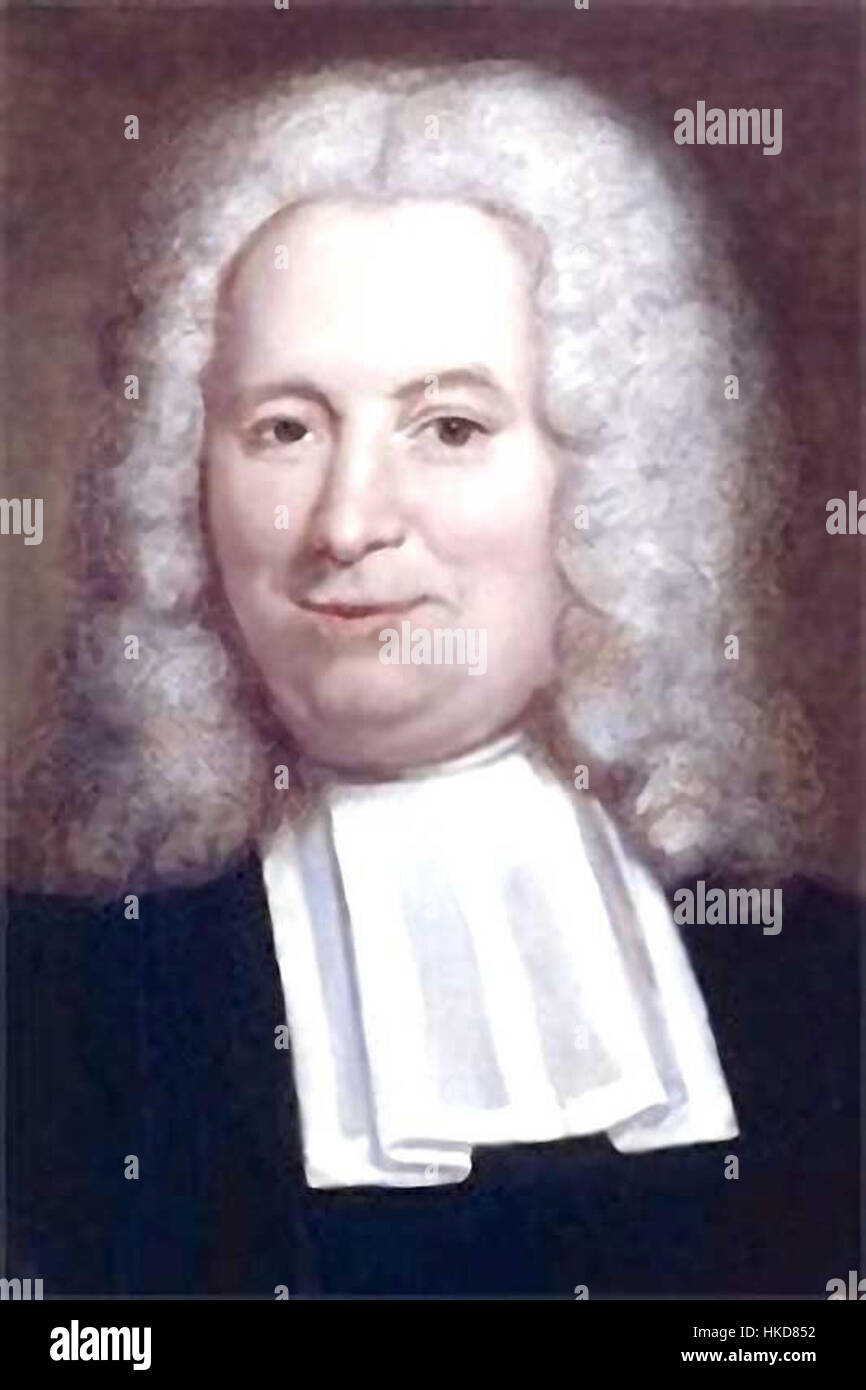 The painting by Petrus Wesseling captures a historical scene from the ...