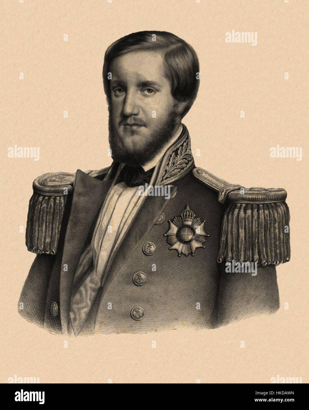 Brazilian emperor hi-res stock photography and images - Alamy
