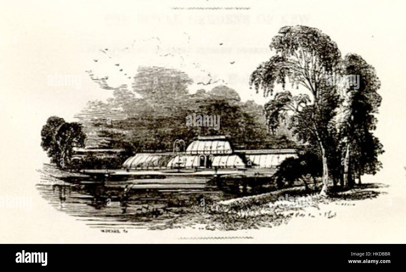 This image depicts the title page of Volume 74 of 'The Botanical ...