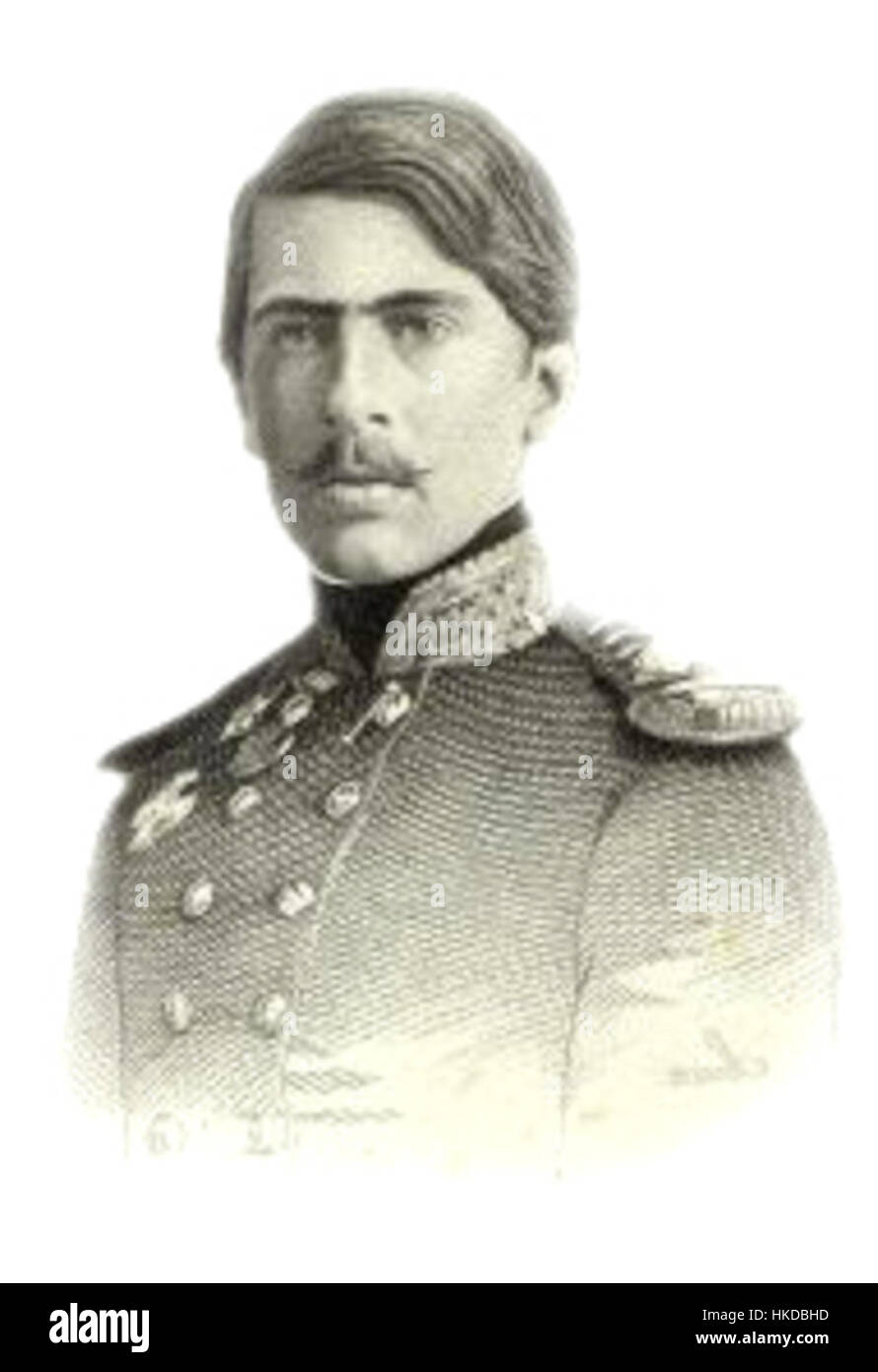 This portrait of Pedro V of Portugal depicts the young king in a ...