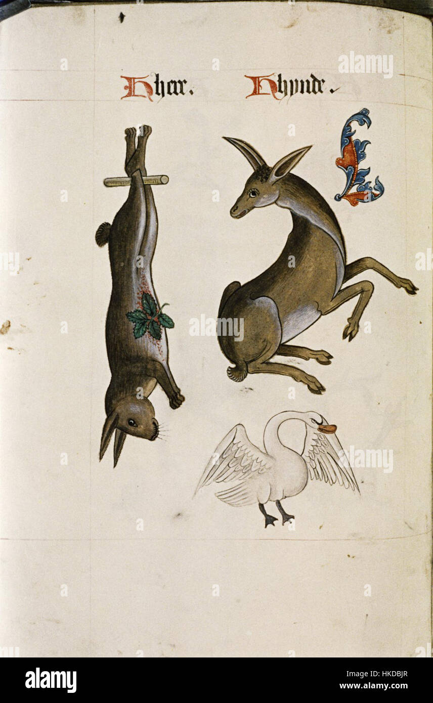 The Tudor pattern book MS. Ashmole 1504 68 provides a detailed record ...