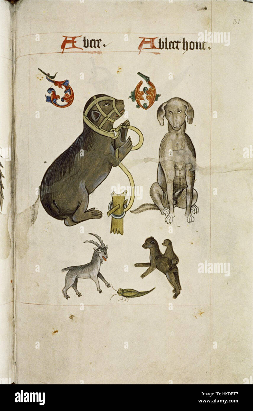 The *Tudor pattern book MS. Ashmole 1504 57* is a historical manuscript ...