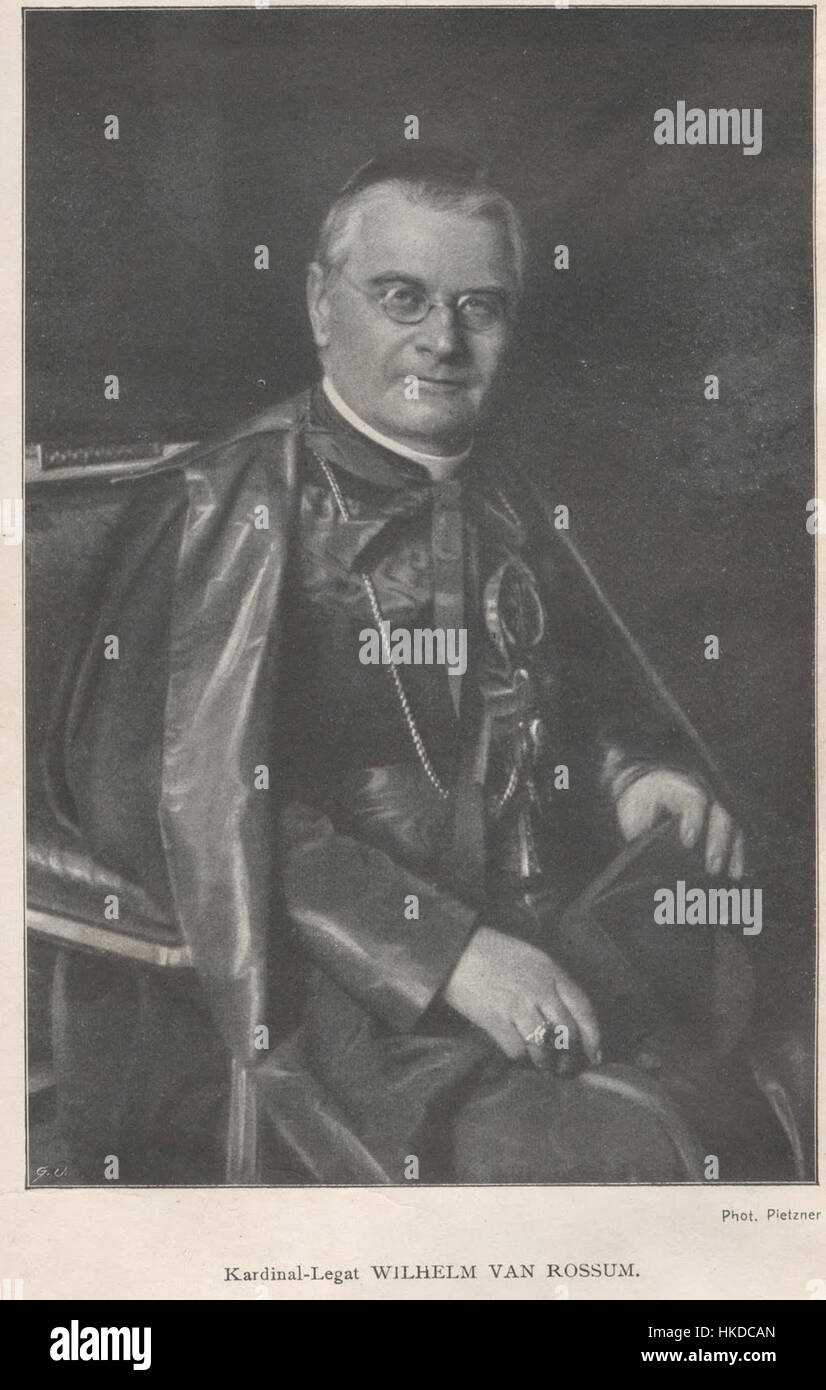 Van Rossum's work is a compelling oil painting that combines ...