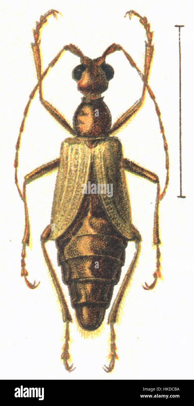 Detailed scientific illustration shows Cut Out Stock Images & Pictures ...