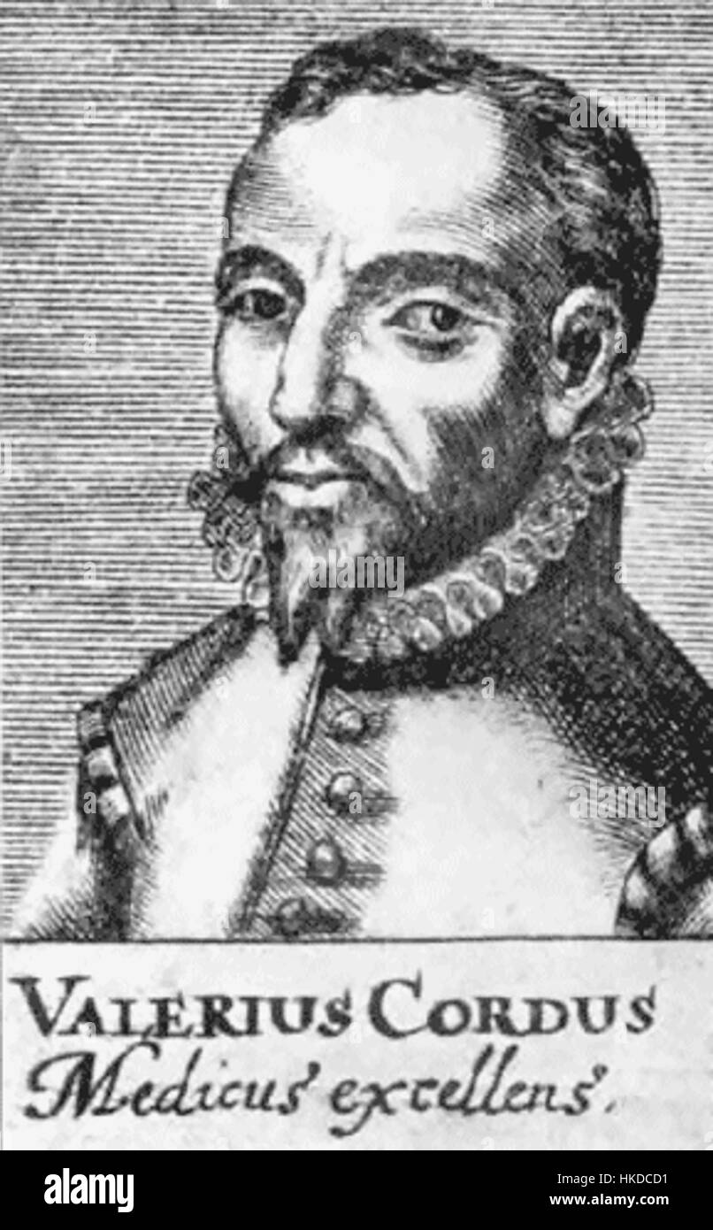 Cordus valerius hi-res stock photography and images - Alamy