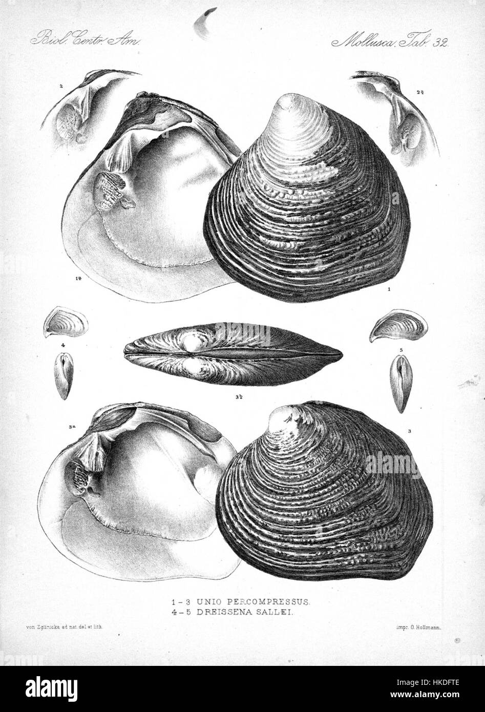 Eduard von Martenâ€™s work, created between 1890 and 1901, includes ...