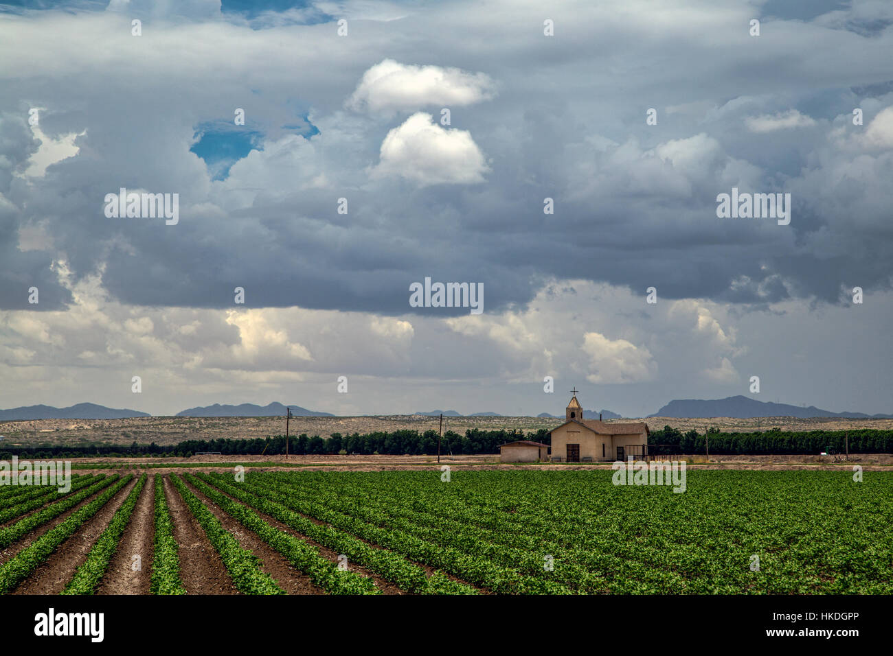 Farm crops field rows clouds hi-res stock photography and images - Alamy