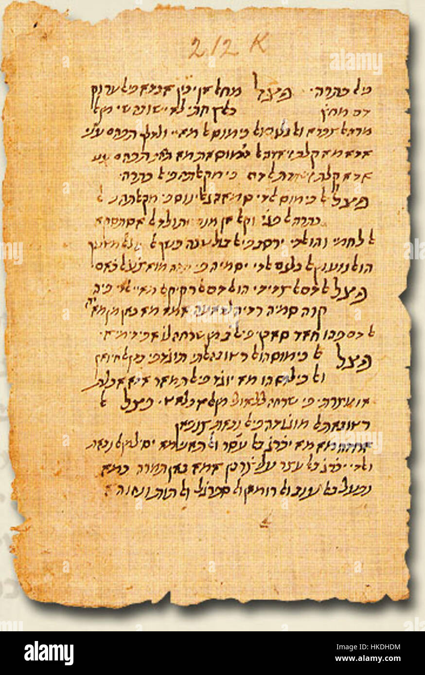 A page from the Kaufmann manuscript, known for its detailed ...